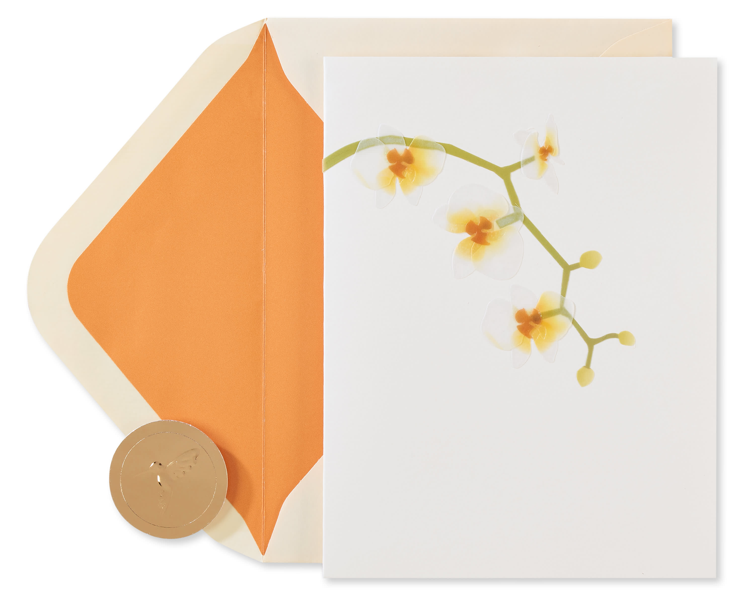 Greeting Cards - Papyrus