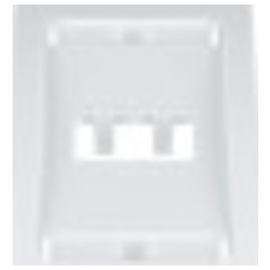 Panduit CFPE2WHY Mini-Com® Executive Series Faceplate, 1-Gang, 2-Port ...