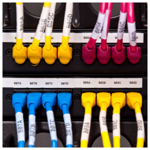 Brady B33-74-427 BBP® 33, Printable Zone Label, Vinyl, Matte Finish, 0. ...