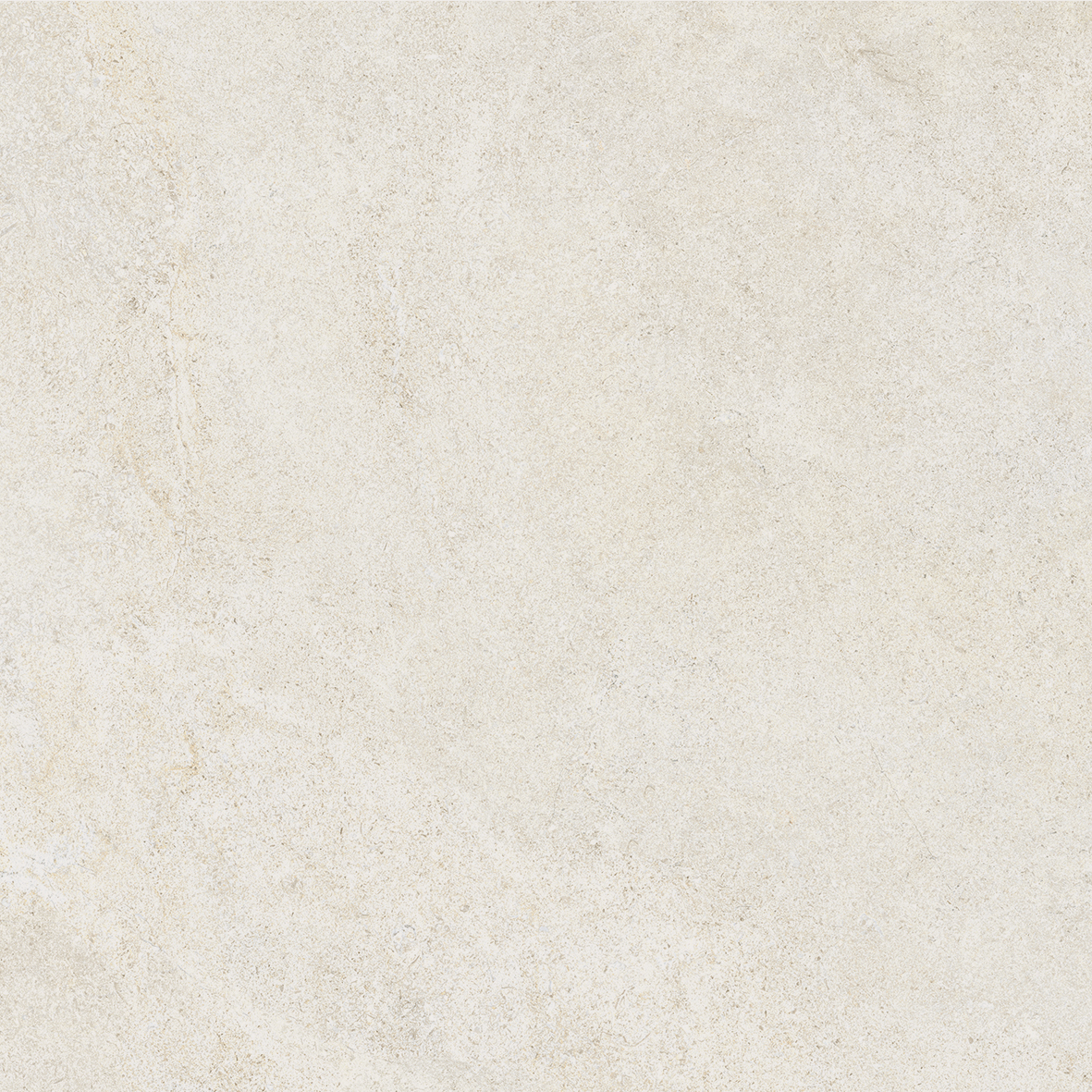 Atelier White Sand 24x24 Field Tile - Virginia Tile Company