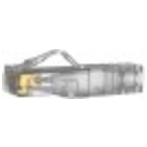 Panduit SP6X88-C Modular Plug Cat 6a | Graybar Store