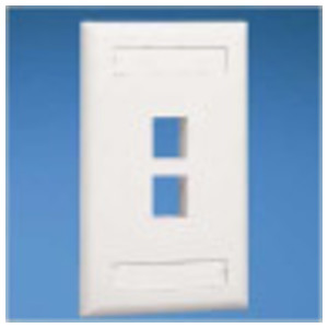 Panduit NK2FIWY NetKey® 1-Gang, Flush Mount Vertical Faceplate, 2-Port ...