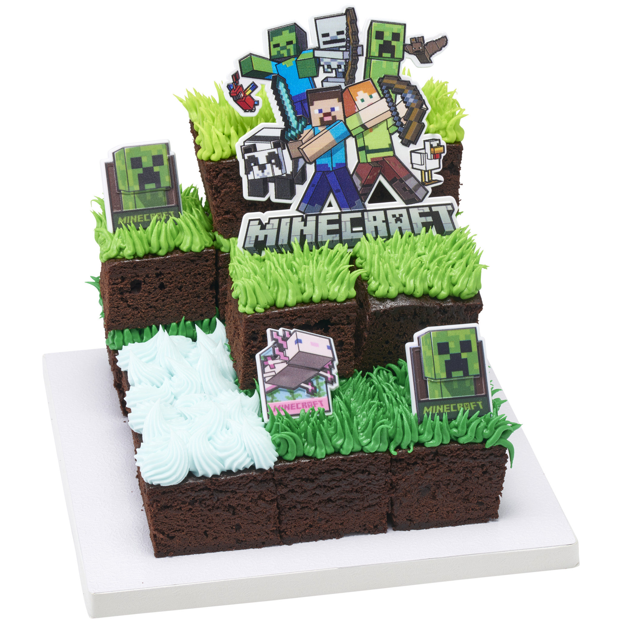 Minecraft 89540fc9 B423 4c4b A69b 7aaa05c13302 | DecoPac