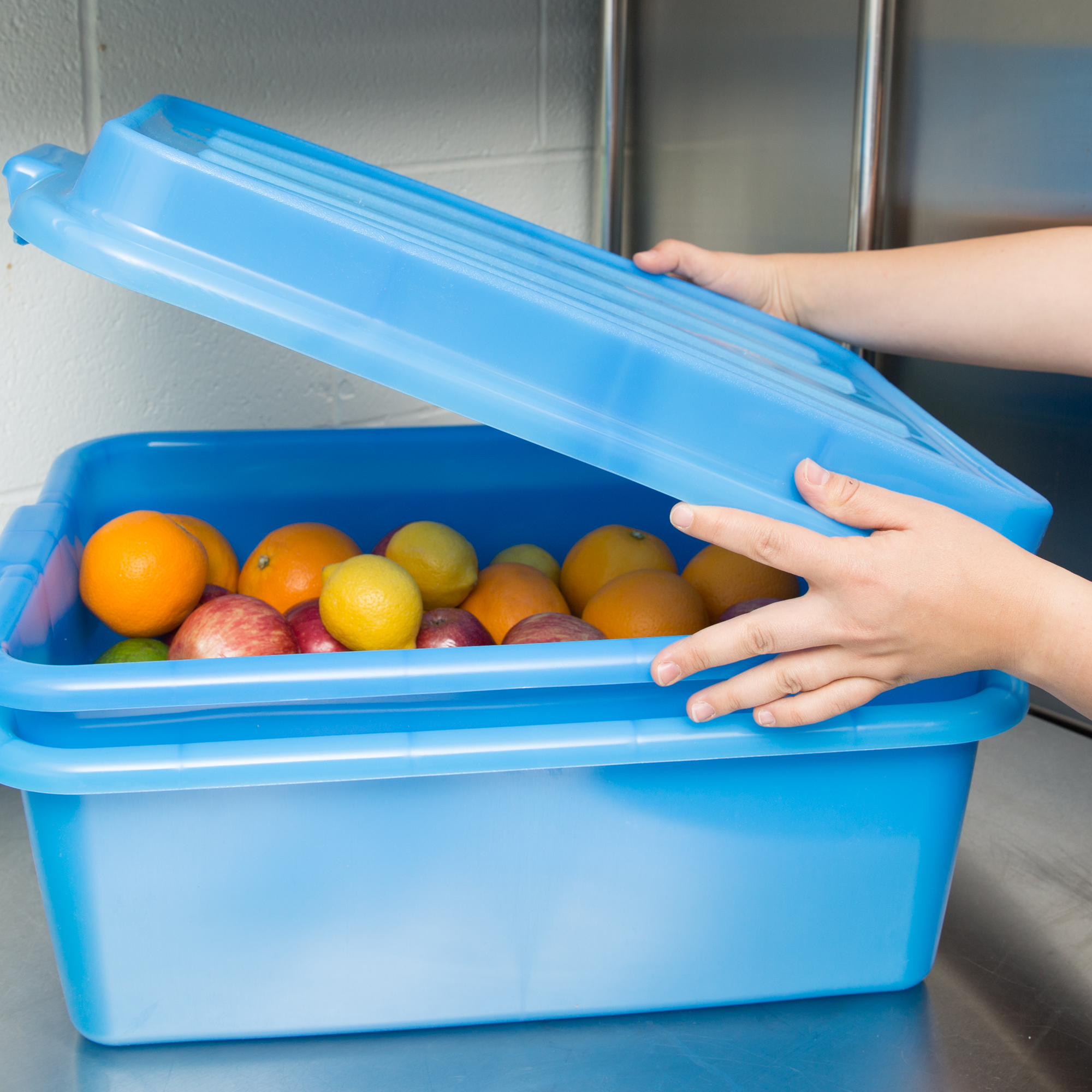 Traex® Color-Mate snap-on “ICE ONLY” food storage box lid in blue