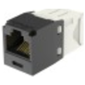 Panduit CJ688TGBL Mini-Com® TX6™ PLUS TG Style UTP Jack Module, Black ...