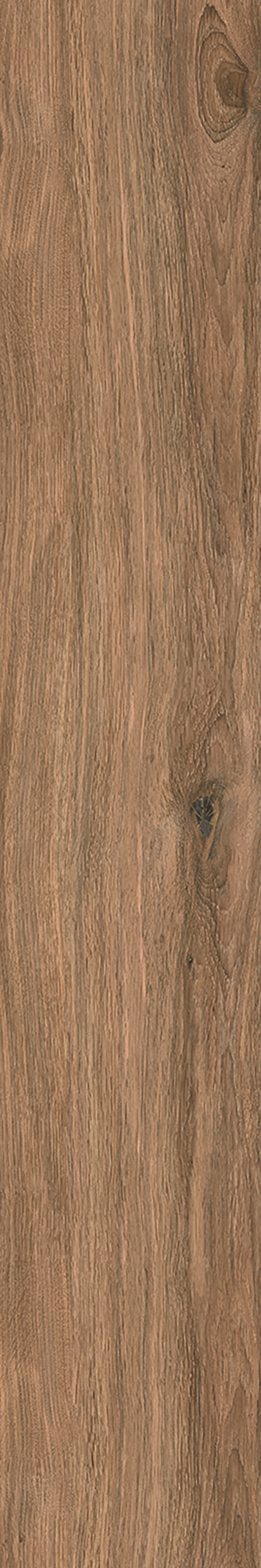 Cocoon Peace 8x48 Field Tile Matte Rectified - Virginia Tile Company