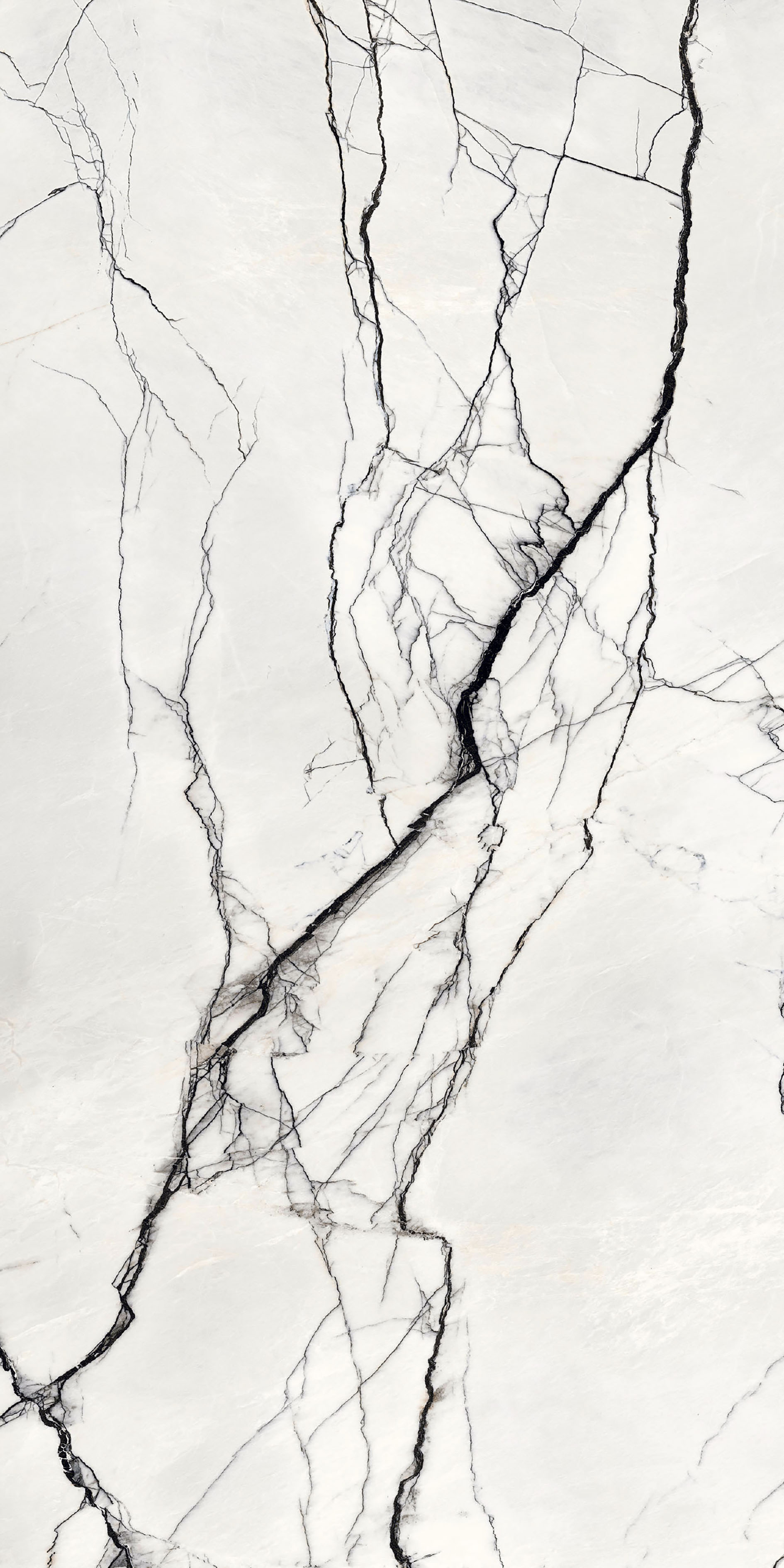 B&W_Marble Breach 64x128 Slab Glossy Rectified - Virginia Tile Company