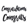 Congratulations Script Assortment | Layon | DecoPac