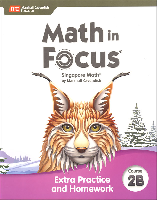 Math in Focus 2020 Extra Practice and Homework Course 2B