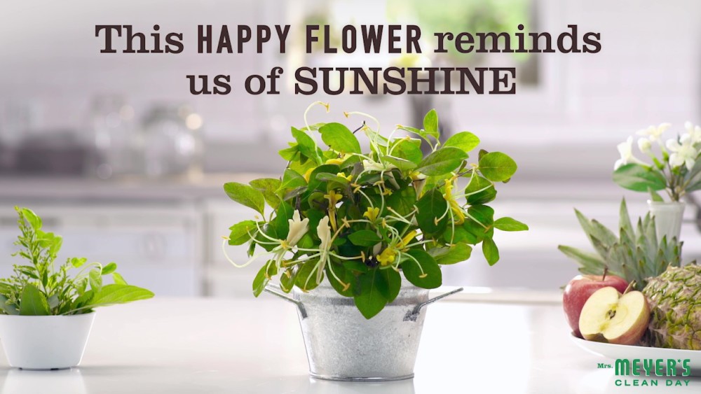 Mrs. Meyer's Clean Day Scented Soy Candle, Large, Honeysuckle Scent, 7. ...