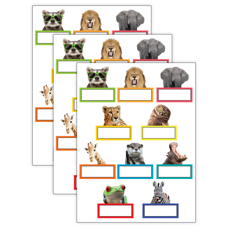 Teacher Created Resources® Go Wild Animals Accents, 30 Per Pack, 3 ...