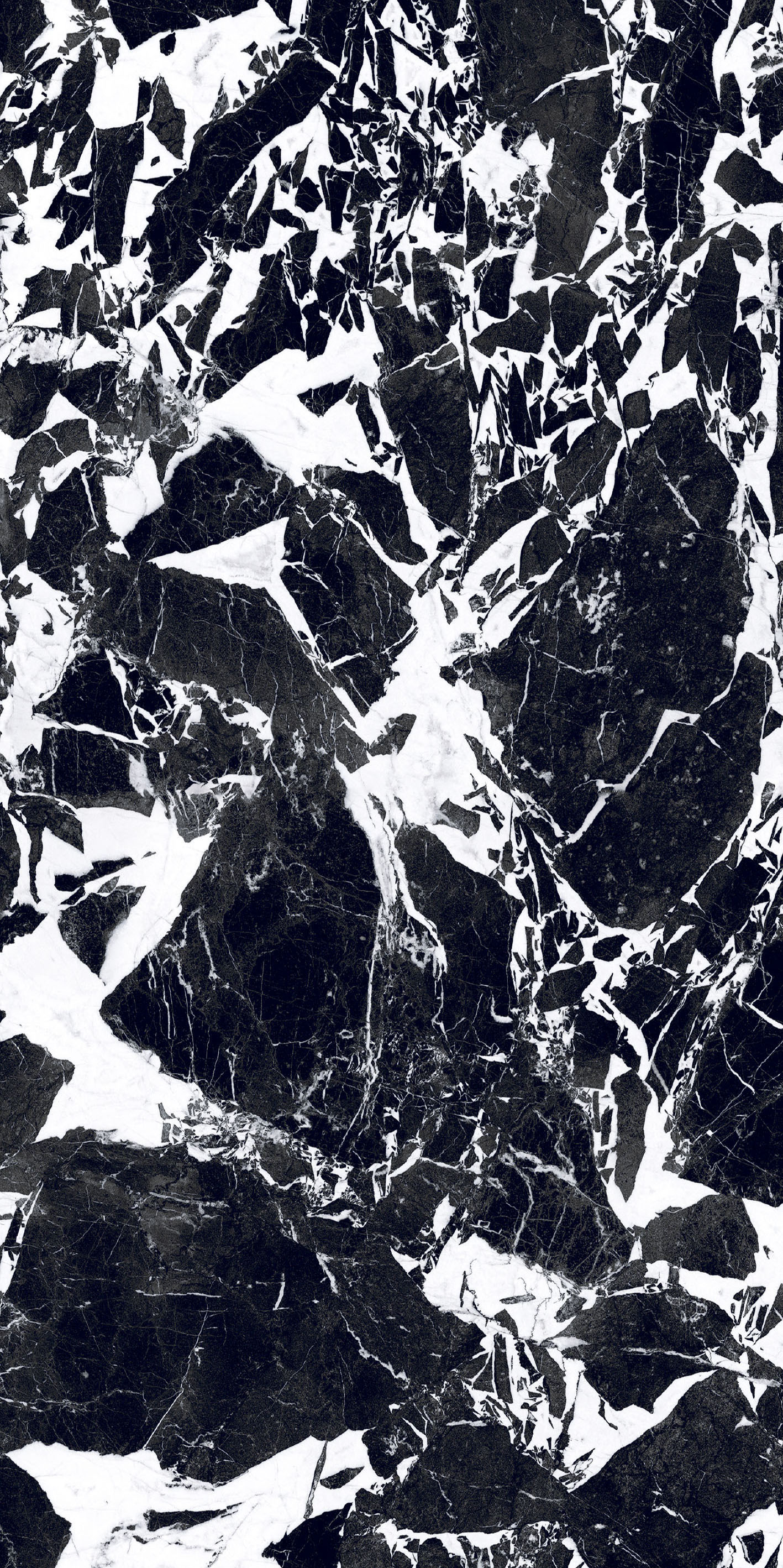 B&W_Marble Fragment 48x96 Slab Matte Rectified - Virginia Tile Company