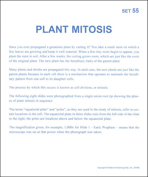 Plant Mitosis Microslide Lesson Set