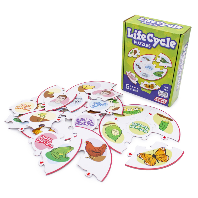 Junior Learning® Life Cycle Puzzles - Knowledge Tree