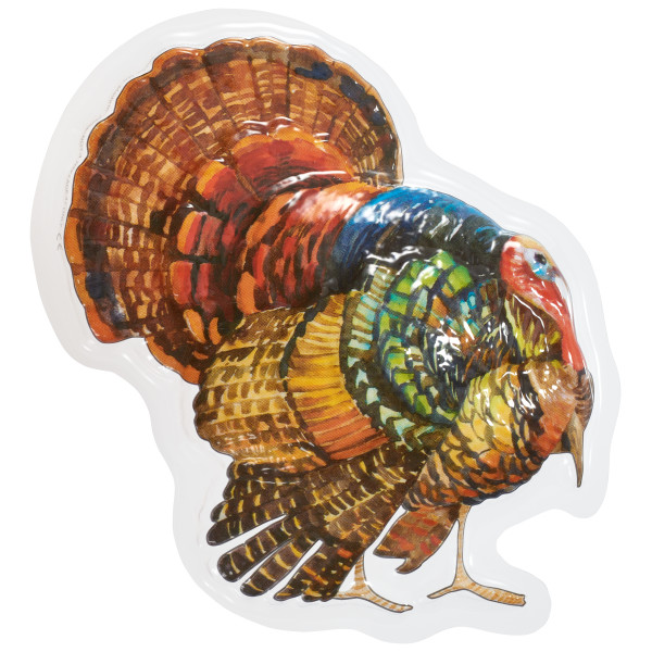 Festive Autumn Turkey | DecoPac