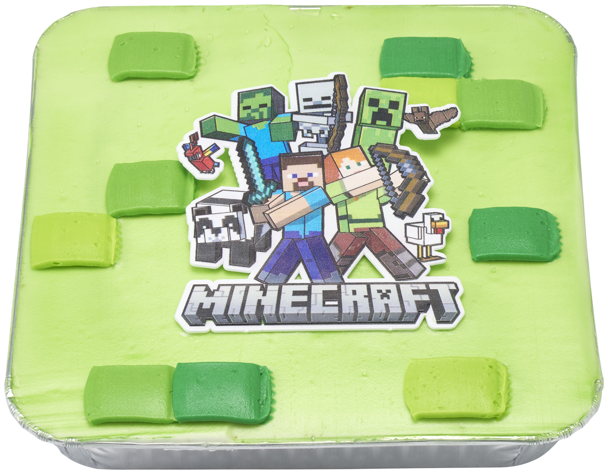 Minecraft 89540fc9 B423 4c4b A69b 7aaa05c13302 | DecoPac