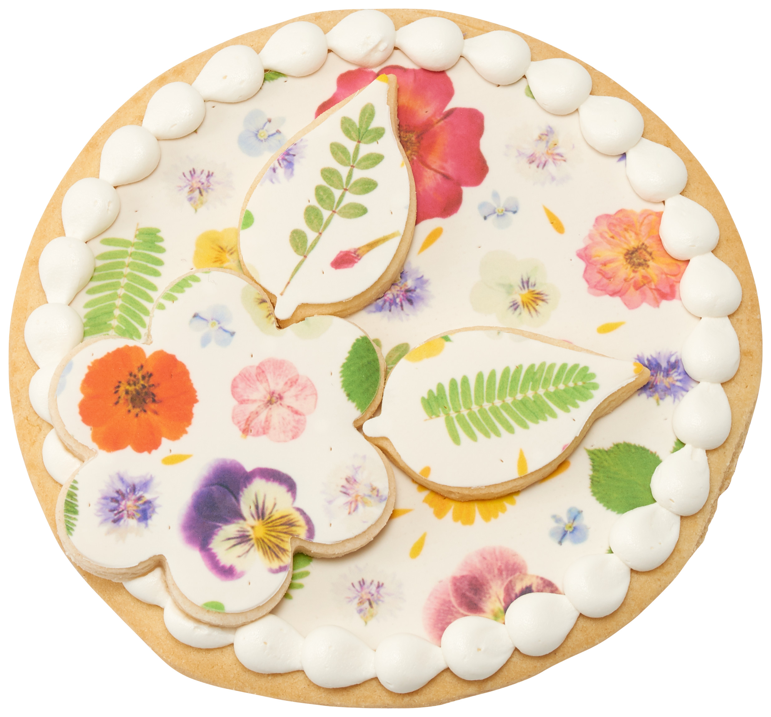 Daisy Fondant Pastry Cutter 6 Piece Set | DecoPac