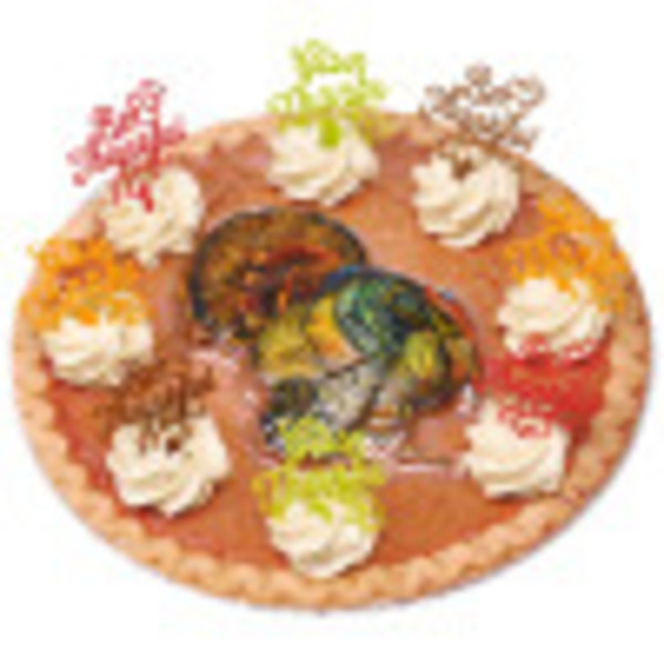 Festive Autumn Turkey | DecoPac