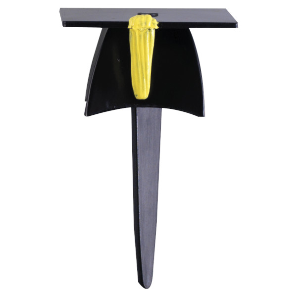 You Did It Grad Cupcake Rings | DecoPac