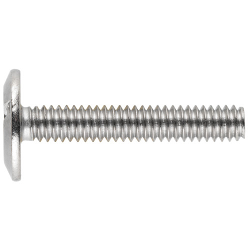 Stainless Steel Hurricane Bolts (1/4" x 3/4") - 25 pc