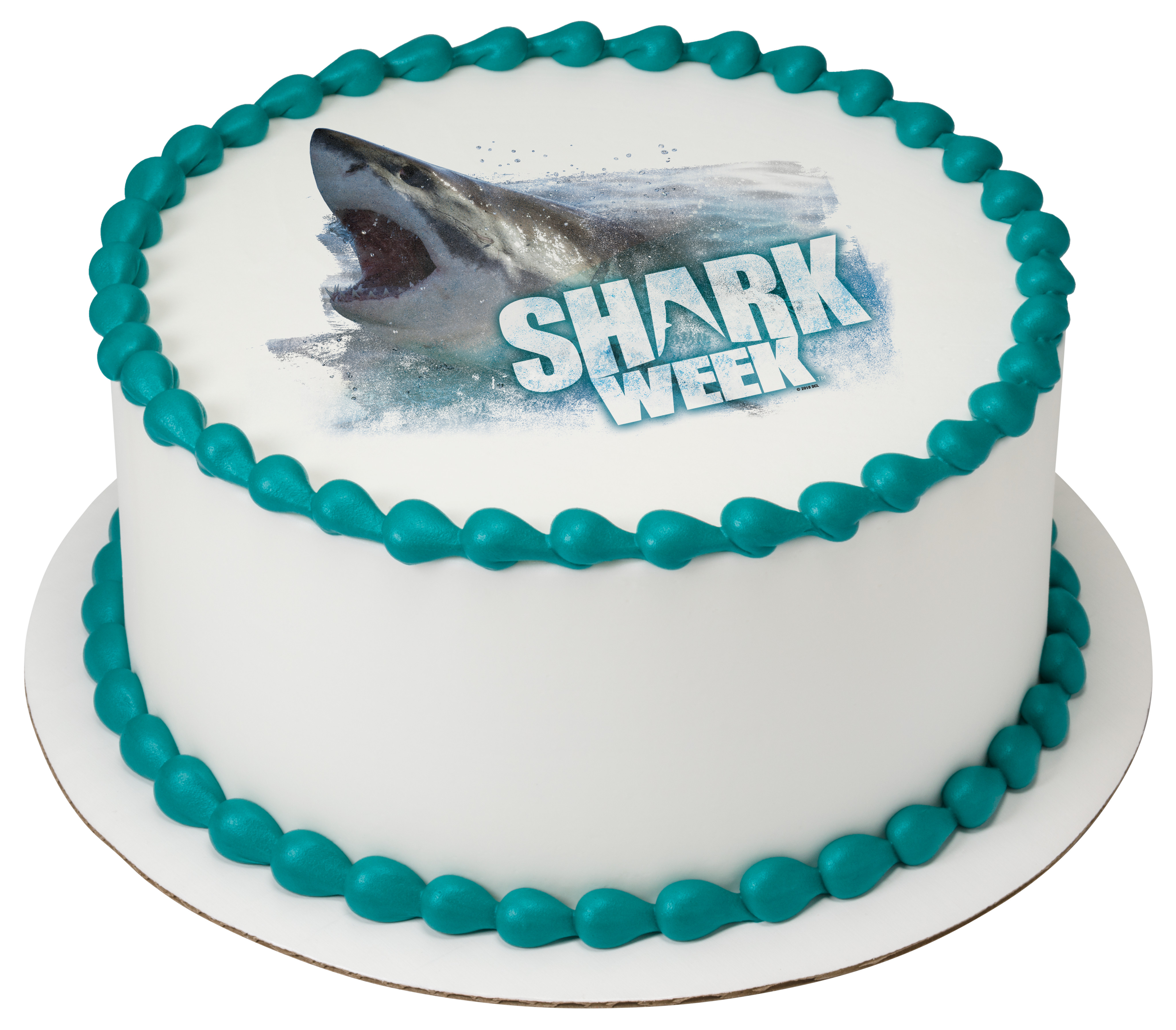 Discovery Shark Attack | DecoPac
