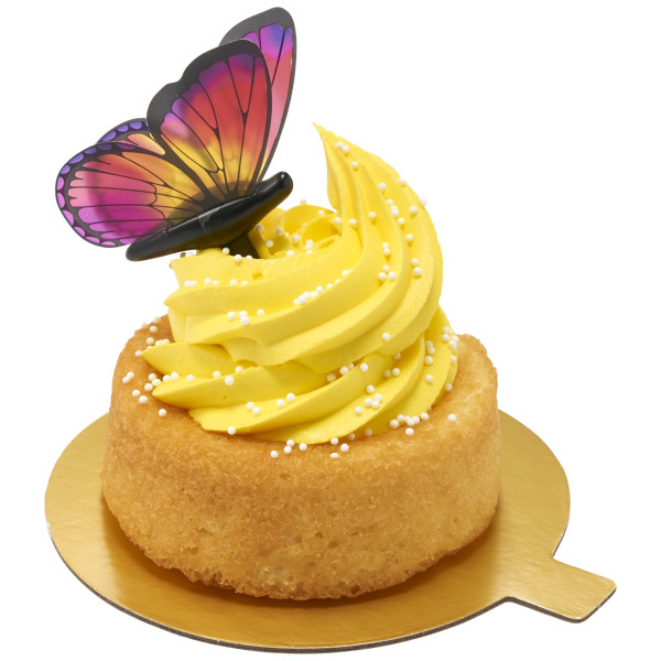 Dragonfly And Butterfly Decopics | DecoPac