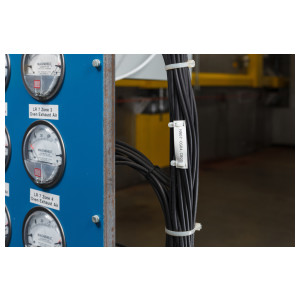 Brady M6-12-109 Multi-Purpose Tear Resistant Polyethylene Tags 3 In H X ...