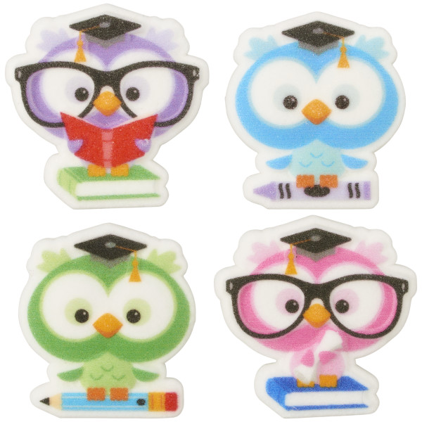 Colorful Grad Owls | DecoPac
