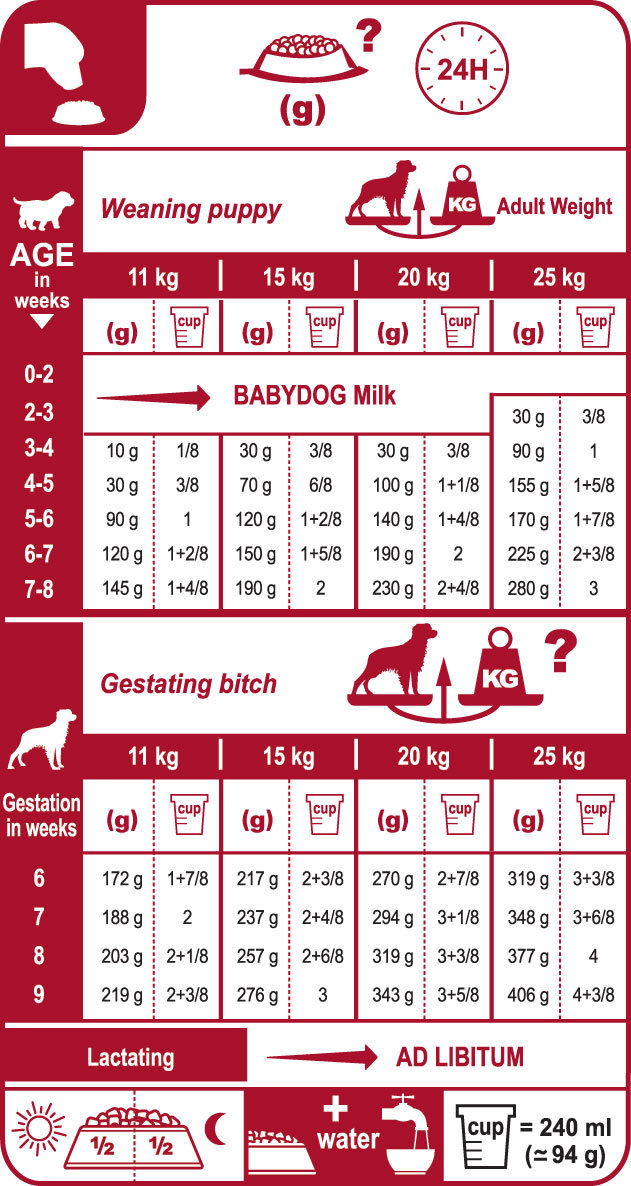 Medium Starter ROYAL CANIN 