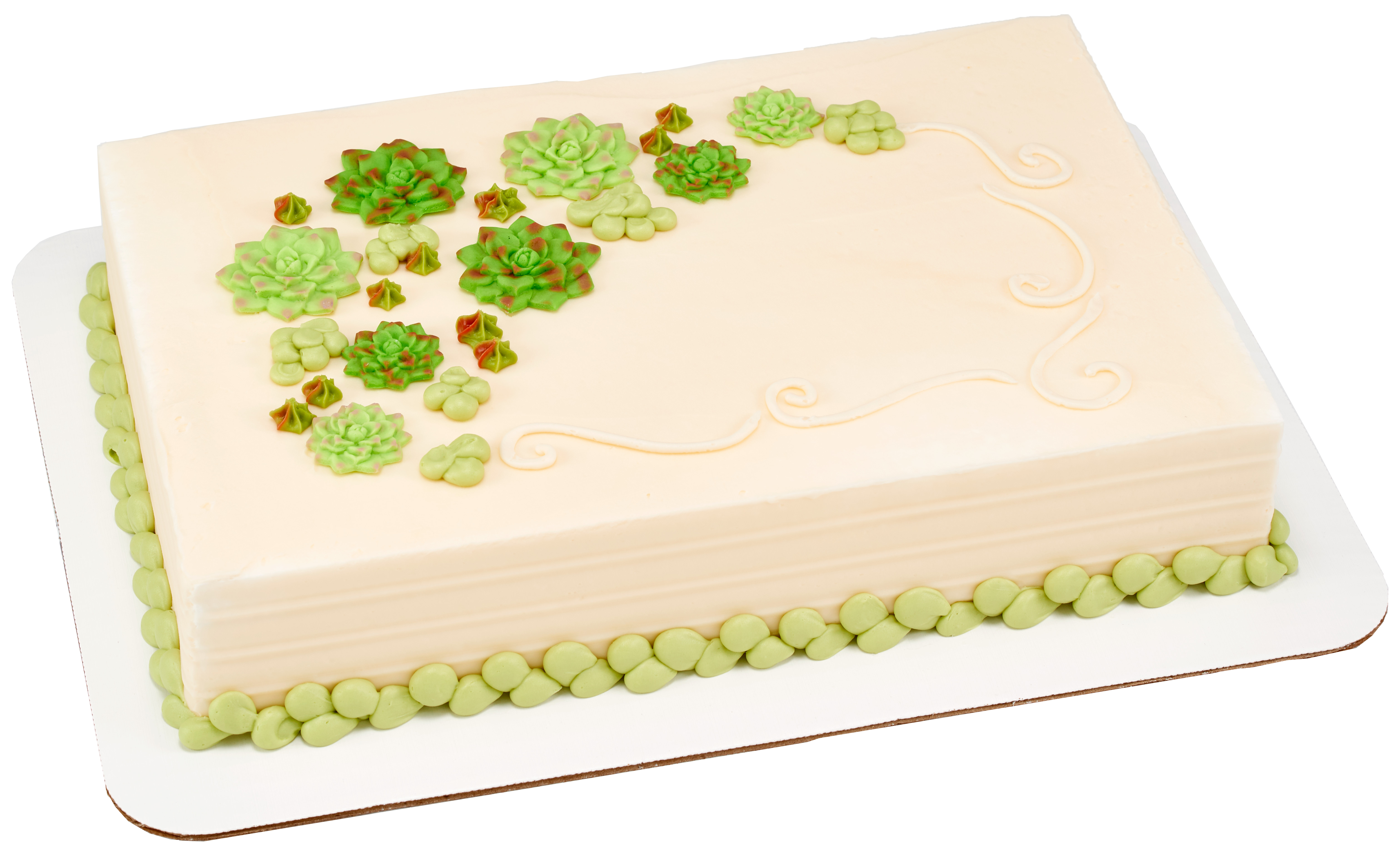 Succulents | DecoPac