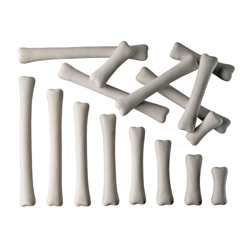 Yellow Door Dinosaur Bones Match & Measure Set - Zuma