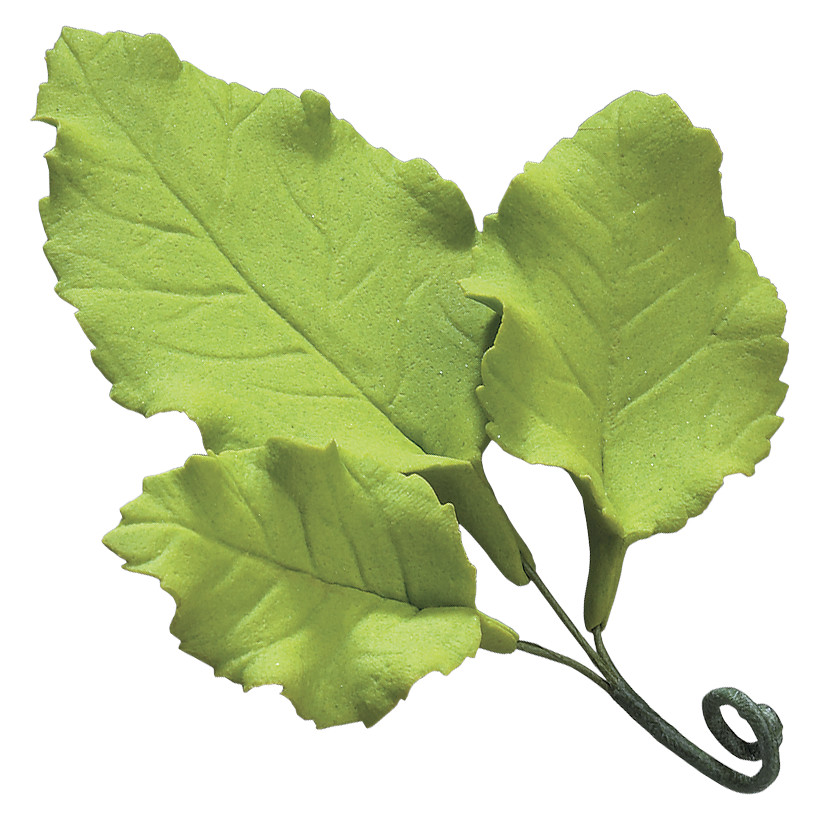 Rose Gum Paste Leaves | DecoPac