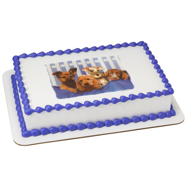 Edible Image® Decorations Page 5 of 6 | DecoPac