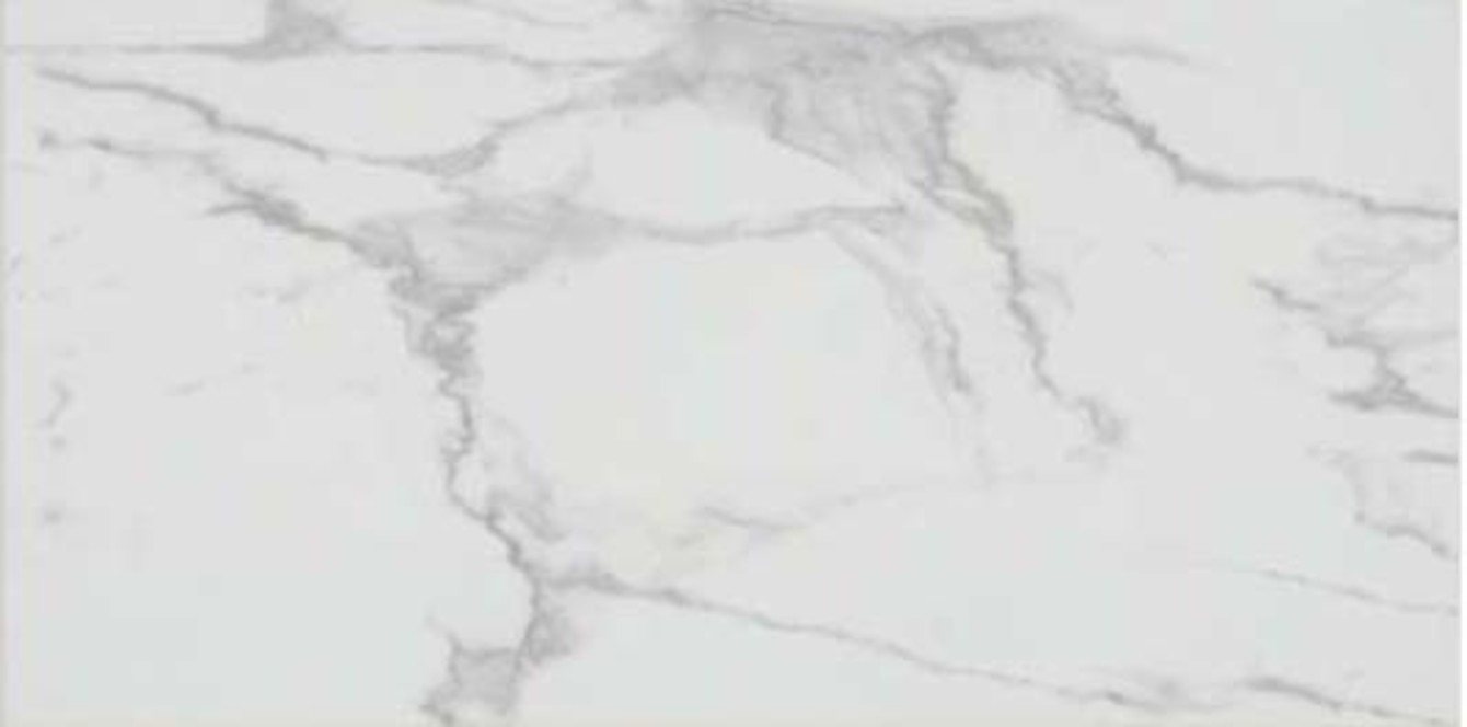 Malta Statuary 12x24 Field Tile Matte - Virginia Tile Company