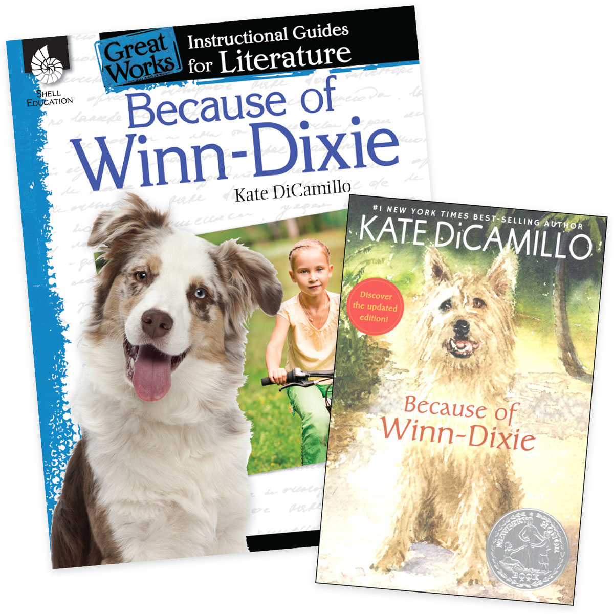 Because of Winn Dixie Instructional Guide for Literature Set