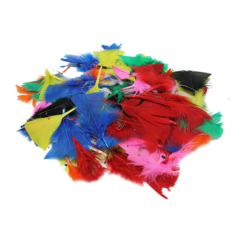 Charles Leonard Turkey Feathers, Bright Colors, 14 Grams - National ...
