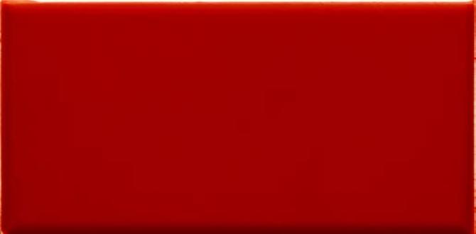 Color Complements Tuscany 2x2 Sink Rail Inside Corner - Virginia Tile ...