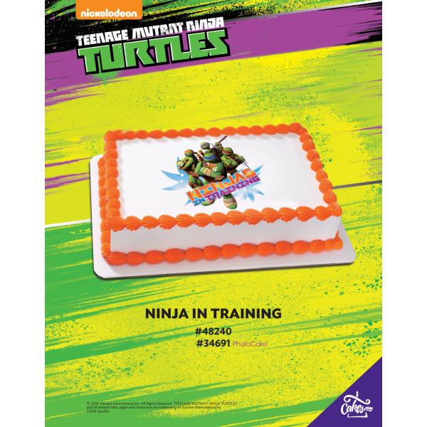 Teenage Mutant Ninja Turtles In Training Photocake Sheet Tmoc Page ...