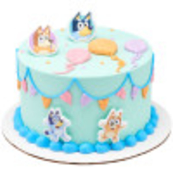 Bluey So Much Fun | DecoPac