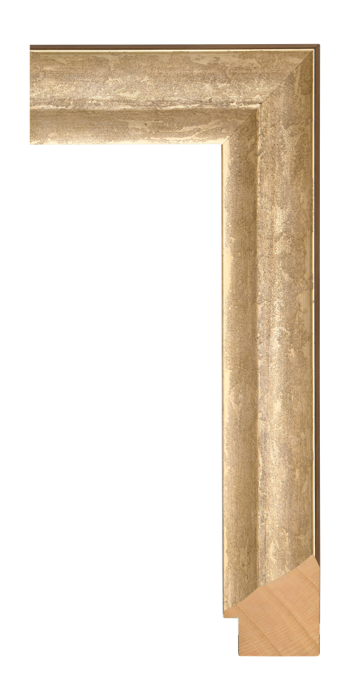 Frame Moulding - Colosseum II Moon Gold Slope 2 | Larson-Juhl