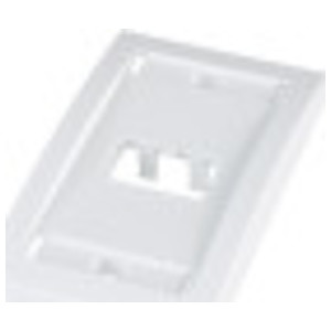 Panduit CFPE2WHY Mini-Com® Executive Series Faceplate, 1-Gang, 2-Port ...