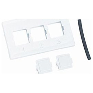 CommScope Systimax 106650898 Three Port M13C Furniture Faceplate, White ...