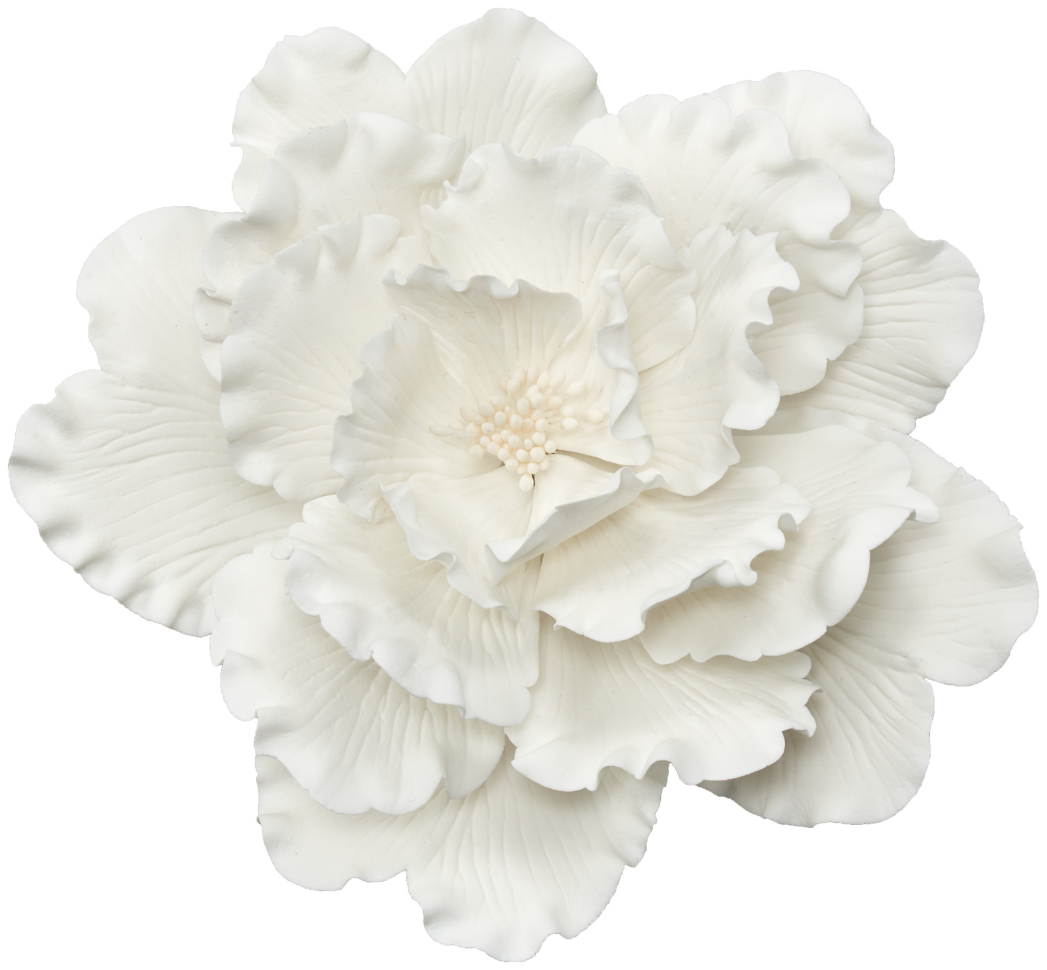 White Peony Gum Paste Flower | DecoPac