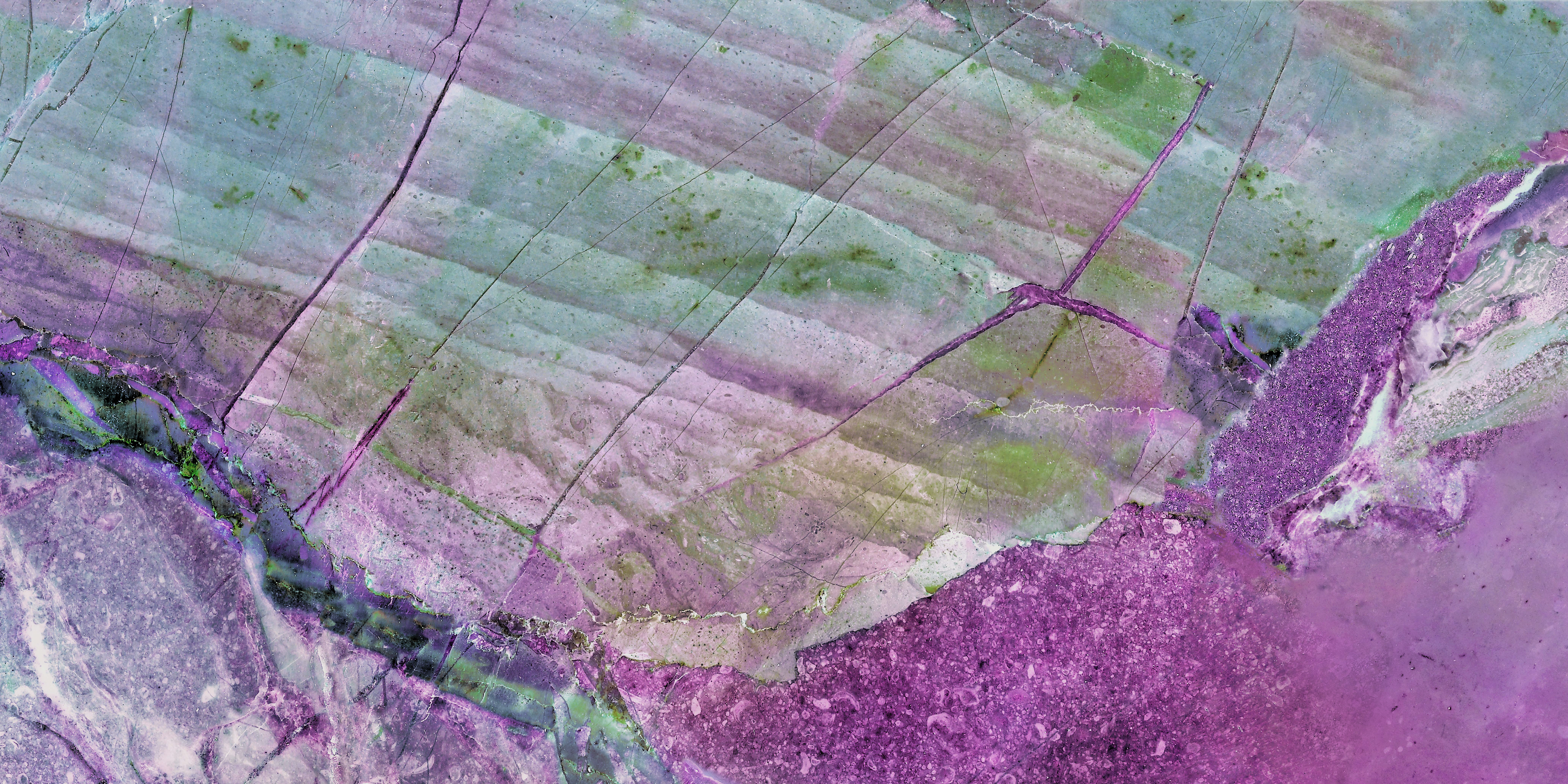 Stowe Brown 12x24 Field Tile Polished Rectified - Virginia Tile Company