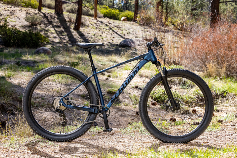 Schwinn Axum DP 29 inch Mens Mountain Bike, 17 inch Frame Adult Bicycle ...