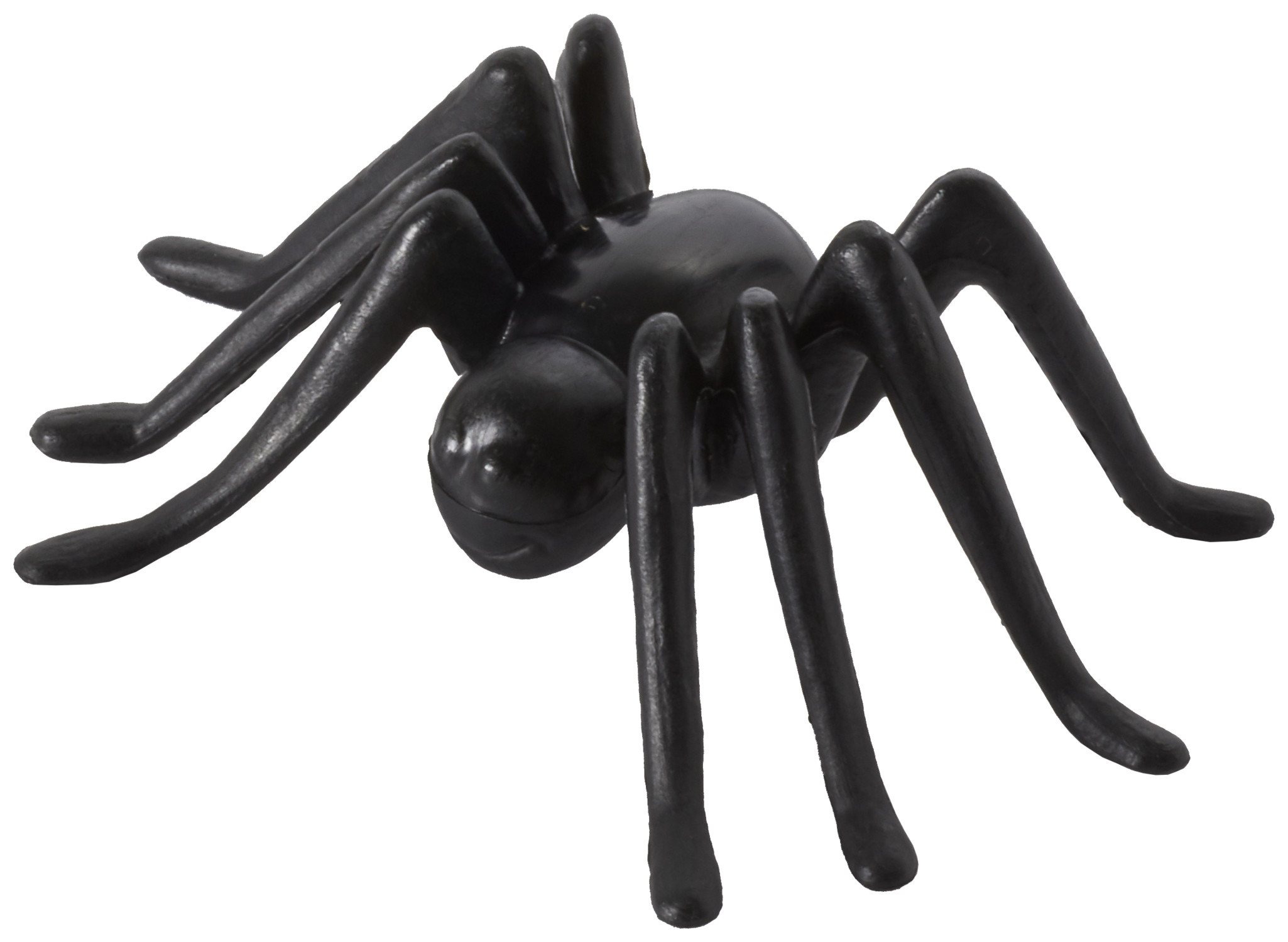 Small Spider Layon Decorations | DecoPac