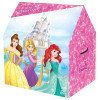 Disney Princess Dream Big Princess Cake Box | DecoPac