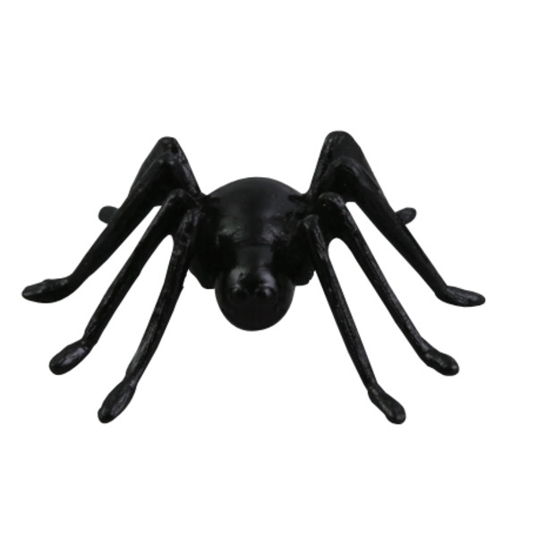 Small Spider Layon | DecoPac
