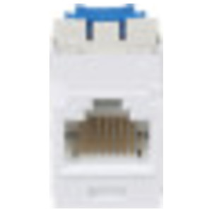 Panduit CJ6X88TGWH-C Mini-Com®, Cat 6A, UTP Jack Module, ABS, RJ45 ...