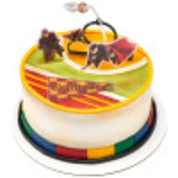 Harry Potter Quidditch Chase 643a8c25 02ea 4c48 92f8 C8f5f34ecca9 | DecoPac